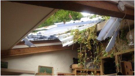 Cows fall through roof into Lamorna artist's workshop - BBC News