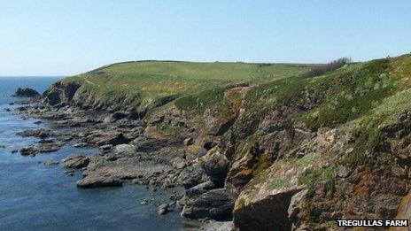Cornish farming challenge 'a childhood dream' - BBC News