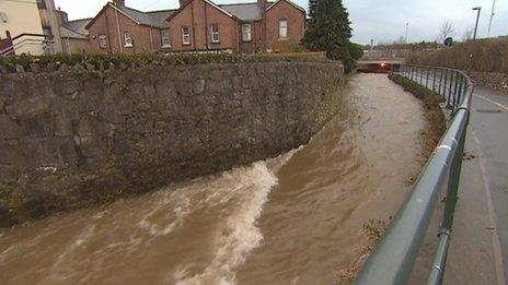 Man dies after Newton Abbot dog river rescue bid - BBC News