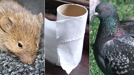 Pigeon, mouse and loo roll among causes of London fires - BBC News