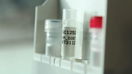 Gene doping: Sport's biggest battle? - BBC News