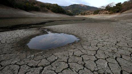 Drought-hit California to fine water wasters - BBC News
