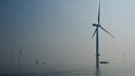 Sea bird halts London Array wind farm expansion - BBC News