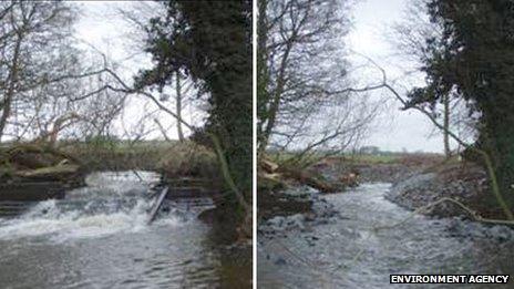 Gayton Mill Weir removed to help fish migrate along brook - BBC News
