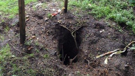Norfolk badger colony damage costs council £35,000 to repair - BBC News