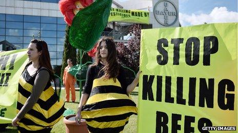 Widespread impacts of neonicotinoids 'impossible to deny' - BBC News