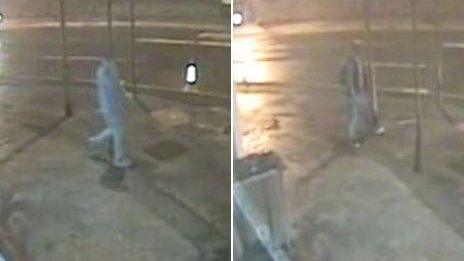 Aston McLean Williams death: police driver investigated - BBC News