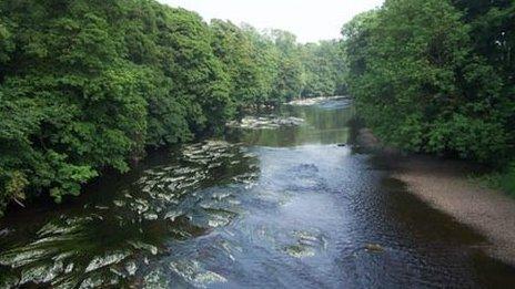 Northumbrian Water seeks water pollution volunteers - BBC News