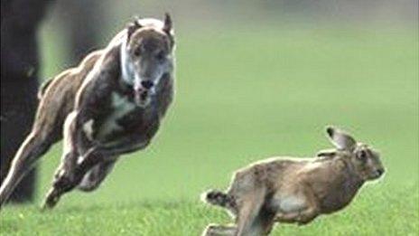 Police make hare coursing warning - BBC News