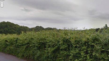 1,600 homes planned for Radyr and Lisvane, Cardiff - BBC News