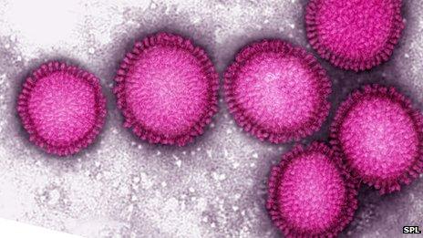 'Unpredictable pandemics' warning - BBC News