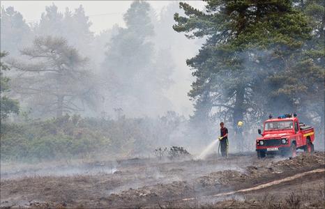 Crews tackle heathland fire in Dorset - BBC News
