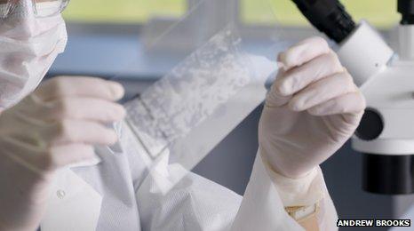 How forensics 'solved' Stephen Lawrence murder - BBC News