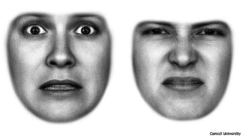Por qué la cara de terror puede ayudarte a sobrevivir - BBC News Mundo