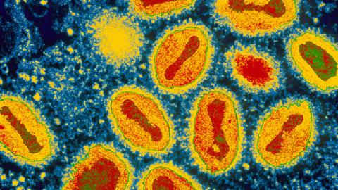 Frascos de varíola 'esquecidos' são encontrados em caixa de papelão nos ...