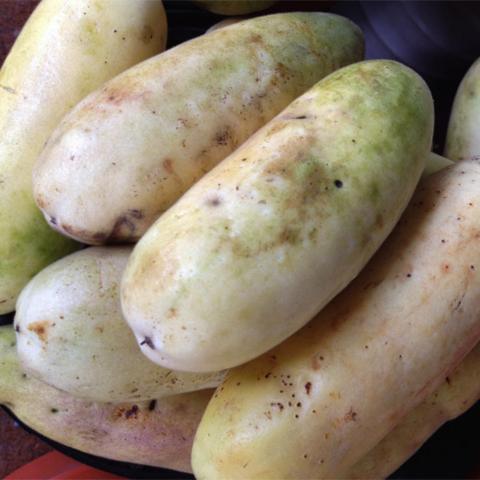 En fotos: las frutas que descubrí en Colombia. ¿Y las suyas? - BBC News ...