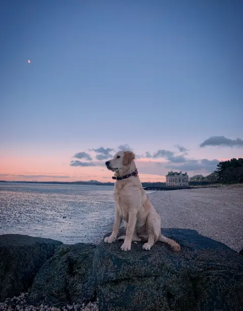 Your pictures of Scotland: 22 February - 1 March