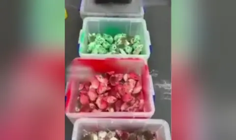 McDonald's condemns Birmingham restaurant mice protests
