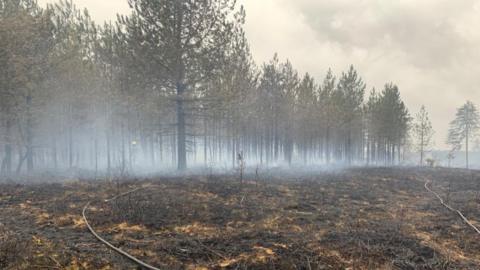 Dorset heathland wildfires break out - BBC News