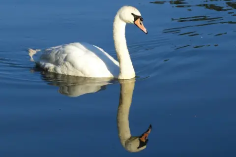 England's Big Picture: 12 July - 18 July