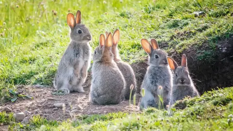 Your pictures of Scotland 26 June - 3 July.
