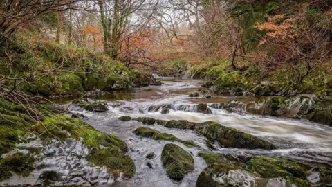 Your pictures of Scotland: Photographs from around the country