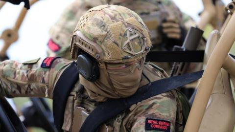 UK military capability at risk, MPs warn - BBC News