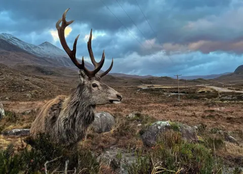 Your pictures of Scotland: 3-10 February