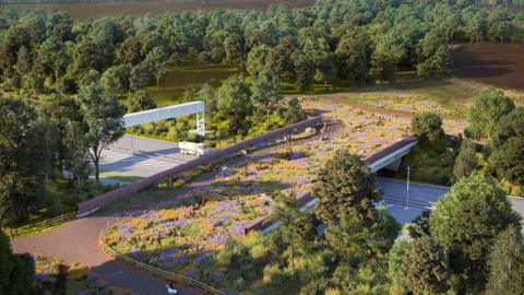 M25: Thousands of trees replanted after widening work - BBC News