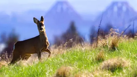 Your pictures of Scotland 2 - 9 April