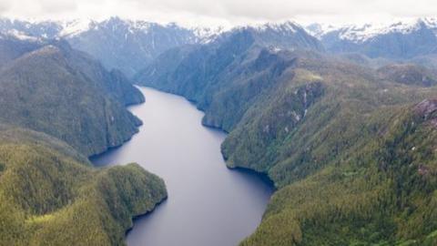 Landmark deal to protect Canada Great Bear Rainforest - BBC News