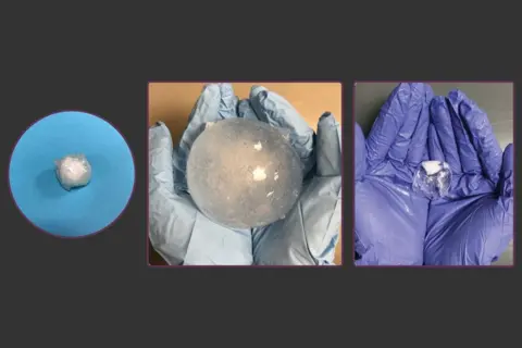 Inflatable puffer fish pill 'could track patient's health'