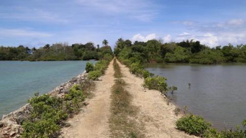 Tonga facing up to rising sea levels - BBC News