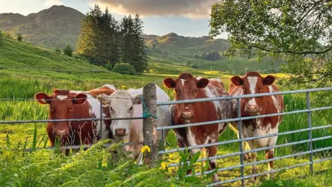 Your pictures of Scotland: Photographs from around the country
