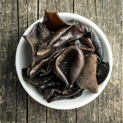 Can you survive on foraged food? - BBC News