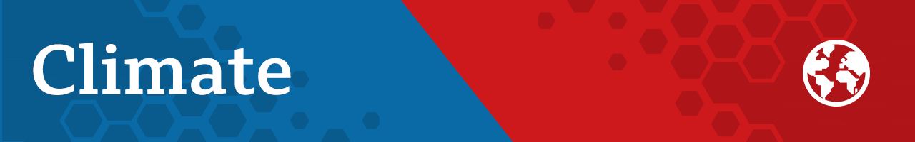 US election 2020: What are Trump's and Biden's policies? - BBC News