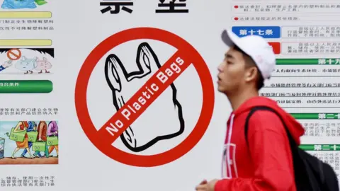 China biodegradable plastics 'failing to solve pollution crisis'