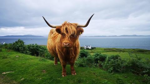 Your pictures of Scotland 7 - 14 August - BBC News