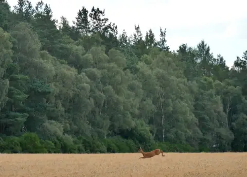 Your pictures of Scotland: 13 - 20 August