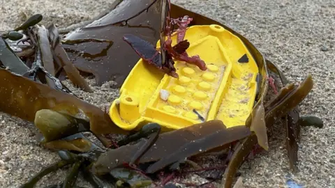 Lego lost at sea exhibition at Royal Cornwall Museum