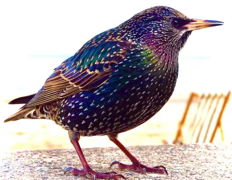 Your pictures of Scotland: 21 - 28 January