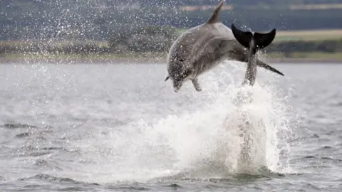 Your pictures of Scotland: 21 - 28 June