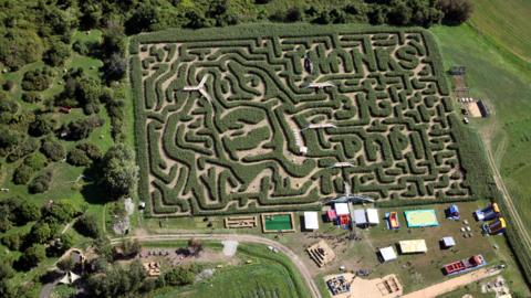 Taking his own path: The world's leading maze designer - BBC News