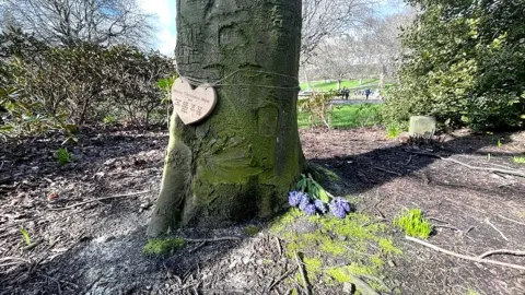 Tree memorials turning historic Edinburgh parks into 'graveyards'