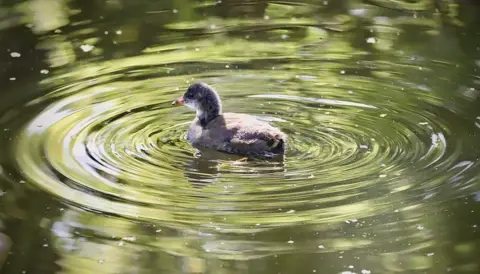 Your pictures of Scotland: 9-16 September