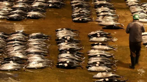 Tsukiji: Japan's famed fish market to relocate