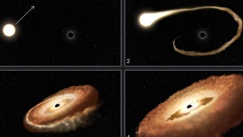 Hubble telescope: Supermassive black hole caught eating a star! - BBC ...