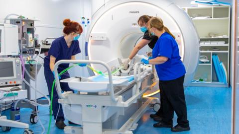 Penguin becomes first to undergo MRI scan in Somerset - BBC News