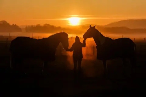 Your pictures of Scotland 27 November - 4 December