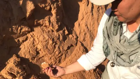 Dinosaurs: Restoring Mongolia's fossil heritage